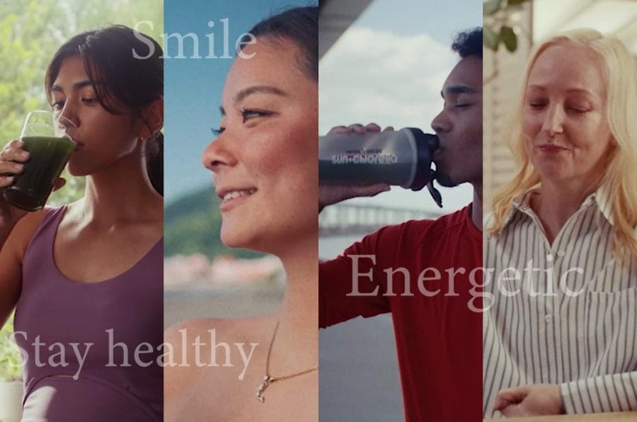 Sun Chlorella | Sun Chlorella, for Chlorella, Eleuthero, and Agaricus